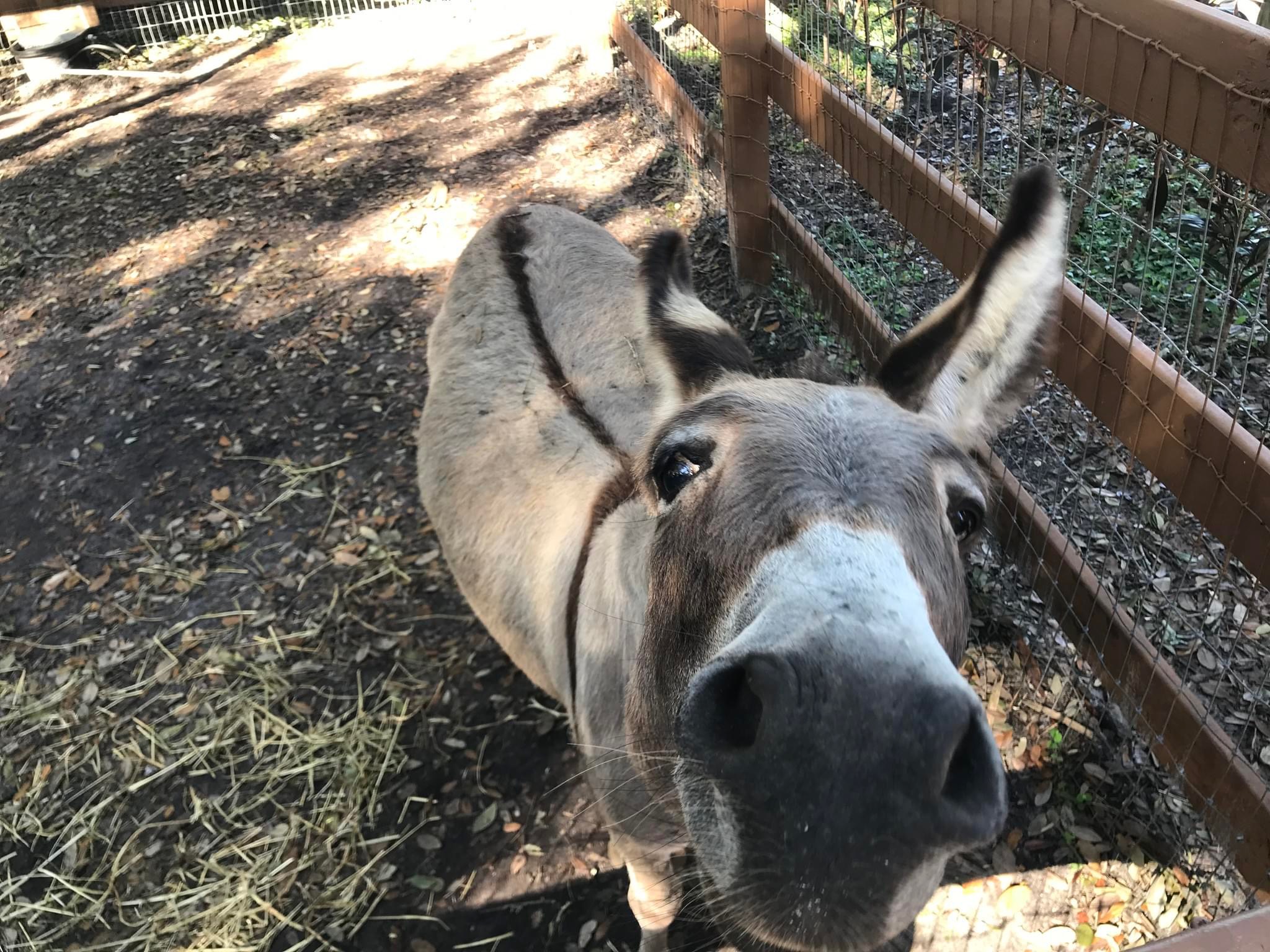 DK Farms and Gardens | Beach Welcome Center